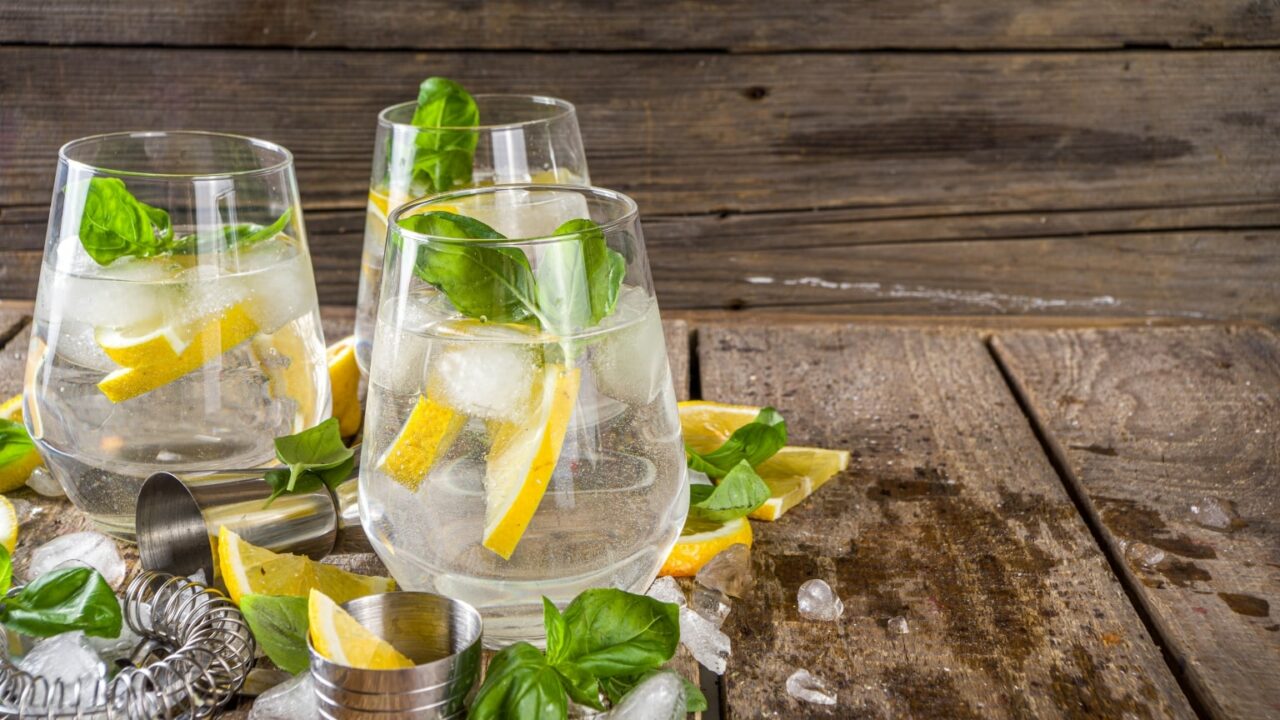 Explore 6 Health Benefits of Basil Leaves and Its Uses