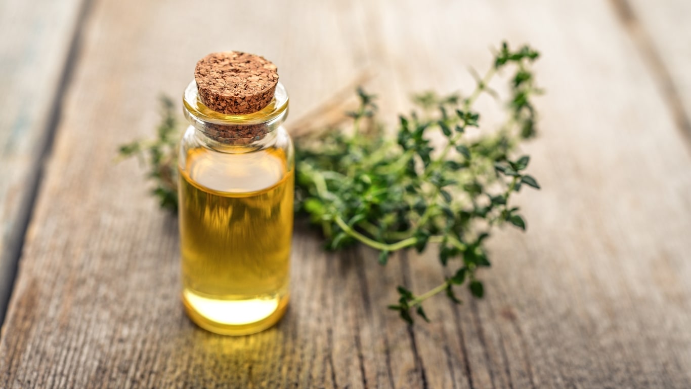 Thyme Oil: A Comprehensive Guide to Benefits, Uses, and Safety